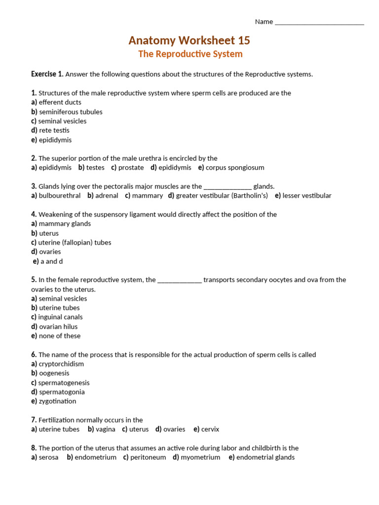 Reproductive System Anatomy Worksheet | PDF | Ovary | Testicle