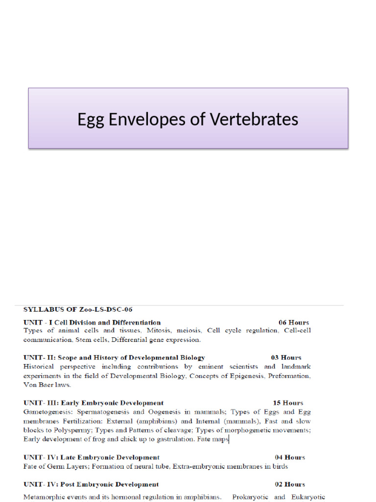 Egg Envelopes or Membranes | PDF | Egg | Reproductive System