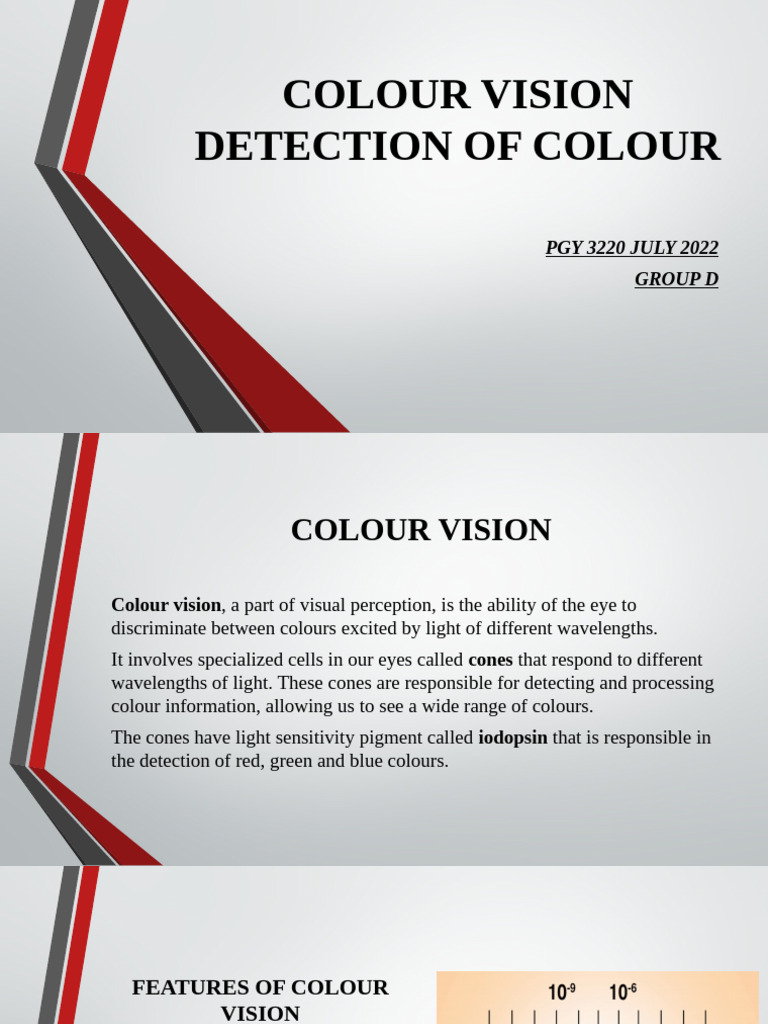 July 2022 Pgy 3220 Group d Presentation | PDF | Color | Visual Perception