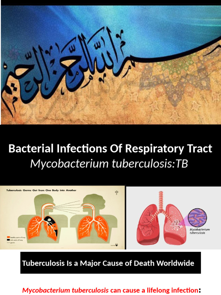 Mycobacterium Tuberculosis | PDF | Tuberculosis | Mycobacterium ...