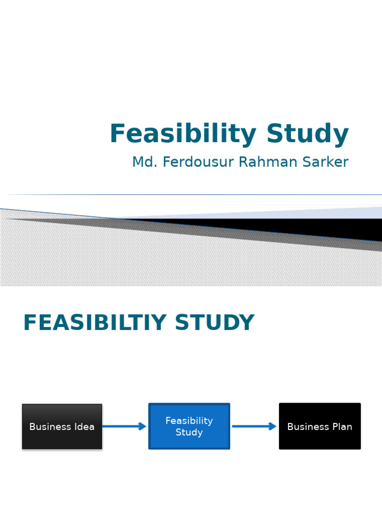 Feasibility Study | PDF