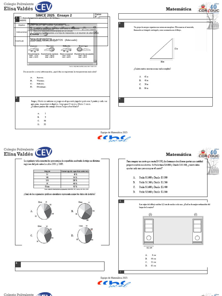 Ensayo SIMCE 2025 - 2 | PDF