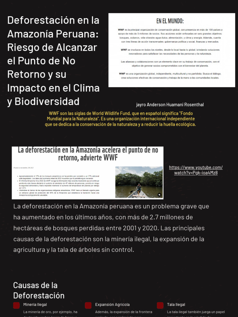 Deforestación en Amazonía Peruana | PDF | Deforestación | Los bosques