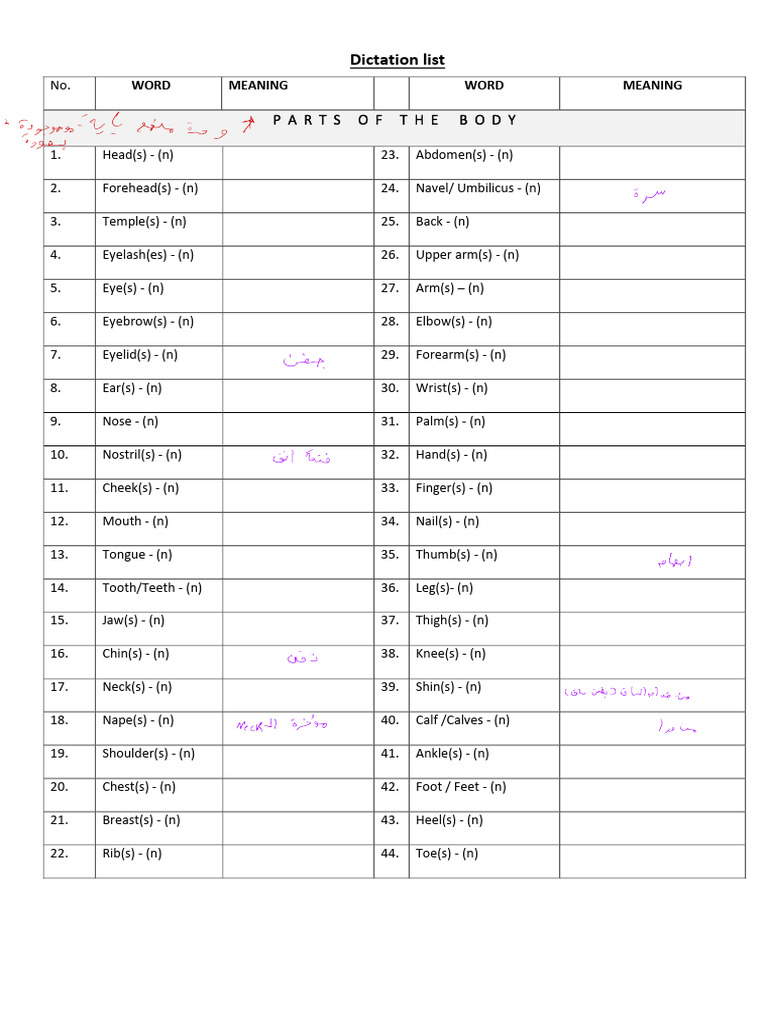 Body Parts - Hospital Personnel | PDF | Hand | Patient
