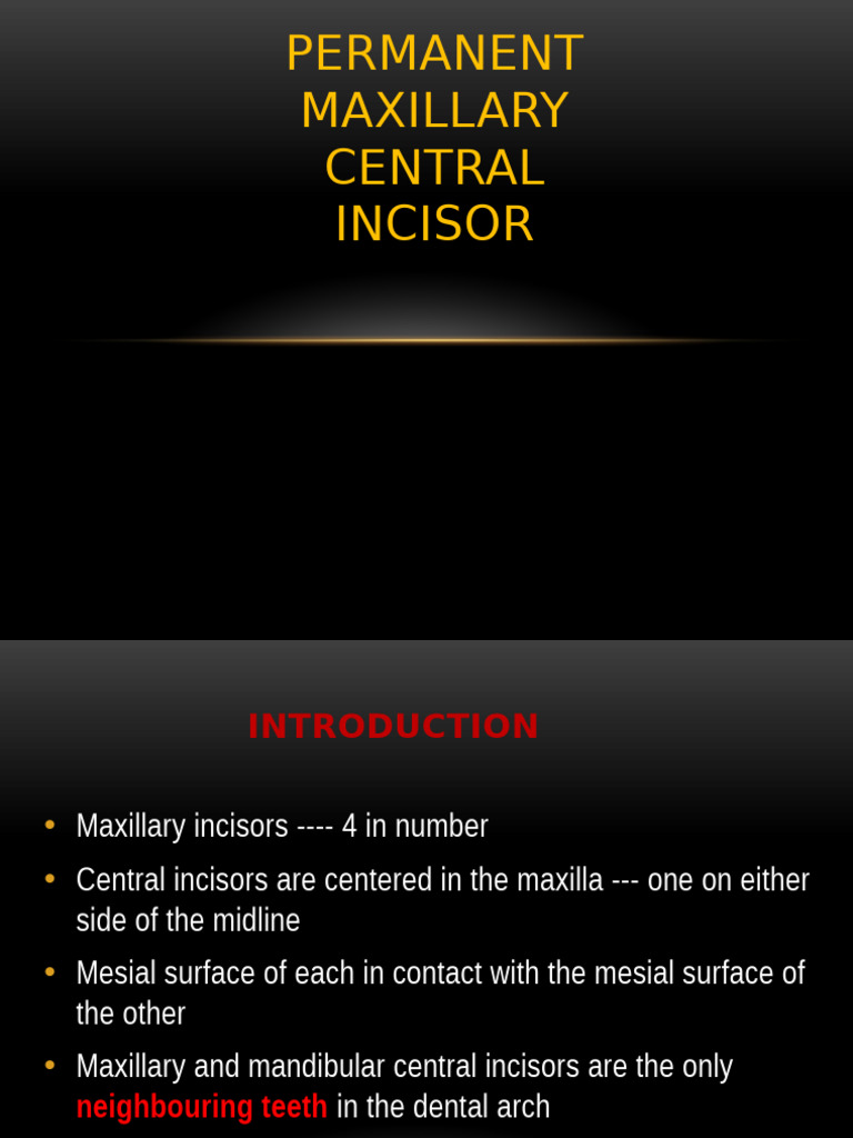 Permanent Maxillary Central Incisor | PDF | Mouth | Tooth