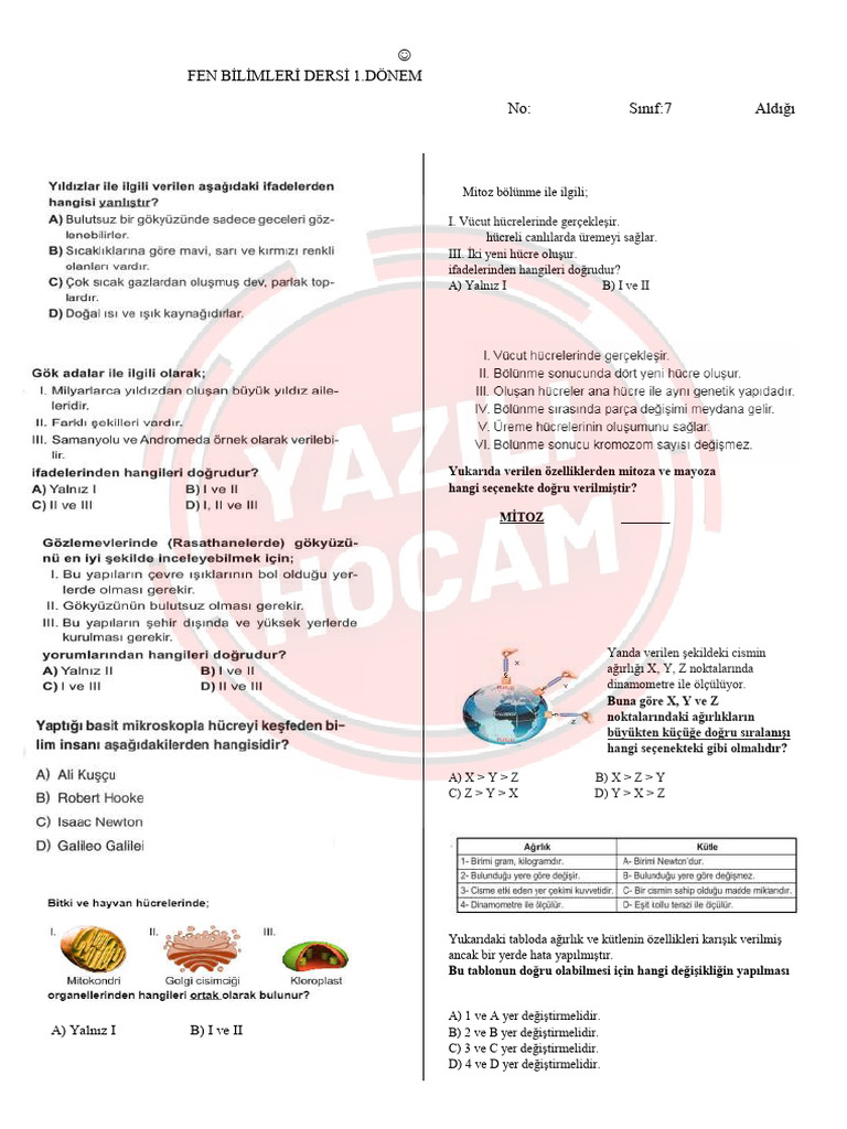 Yazilihocam Com 7 Sınıf Fen 1 Dönem 1 Yazılı Soruları 2 | PDF