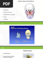 Sinuses Positioning Chart | PDF | Skull | Human Nose