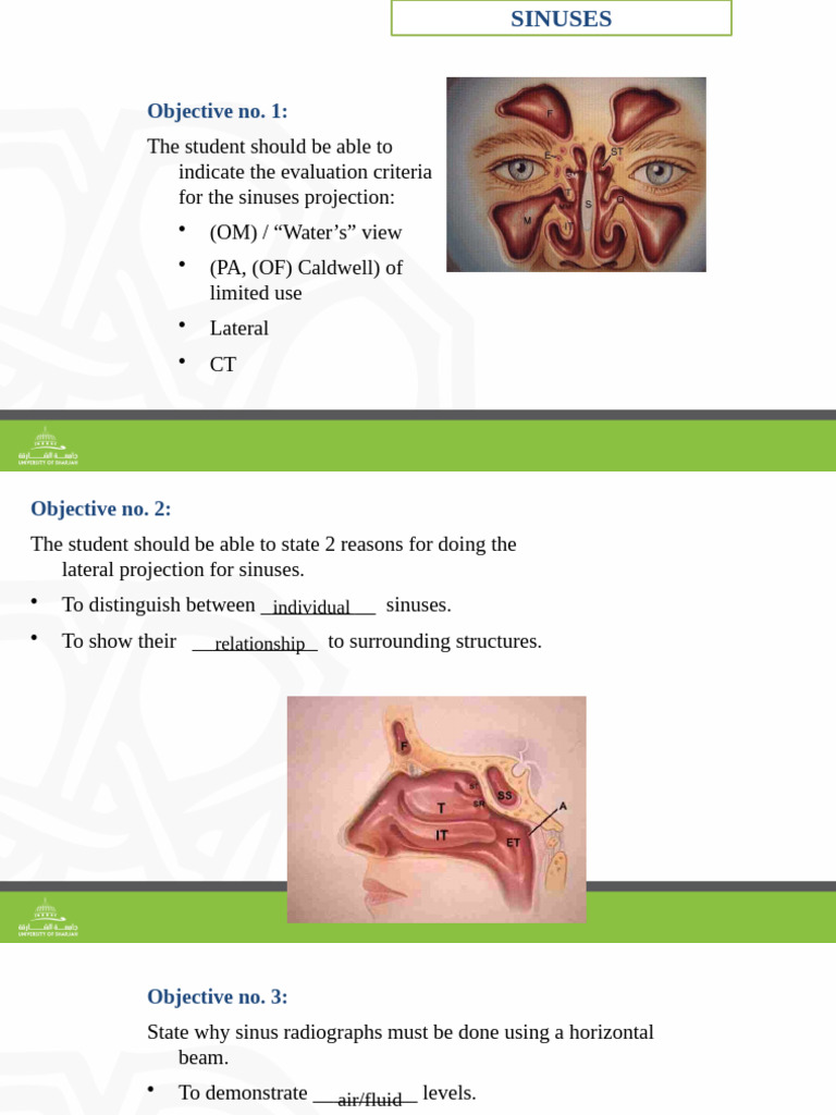 Sinus Radiography Guide for Students | PDF | Skull | Human Nose