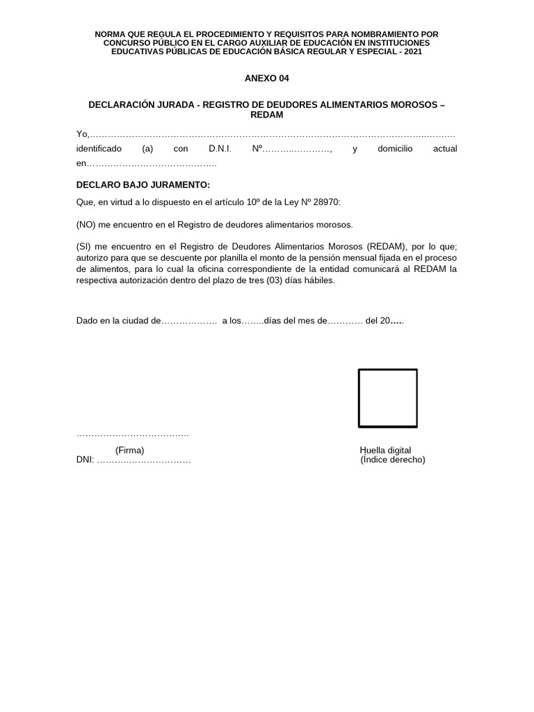 Declaracion Jurada Nombramiento Auxiliares Anexo 4 | PDF