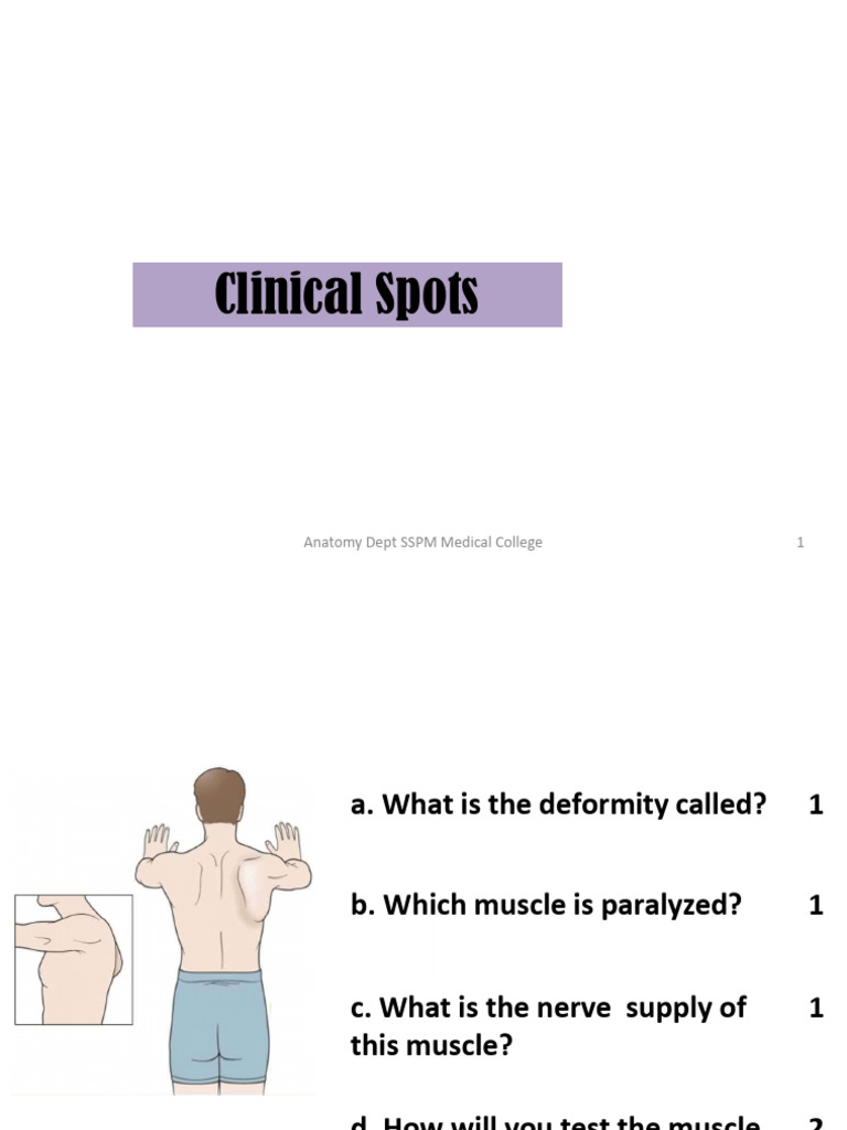 Clinical Spots | PDF | Anatomy | Human Anatomy