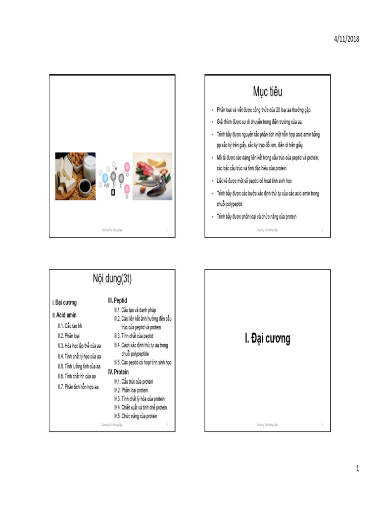 HH Aa Và PROTEIN | PDF