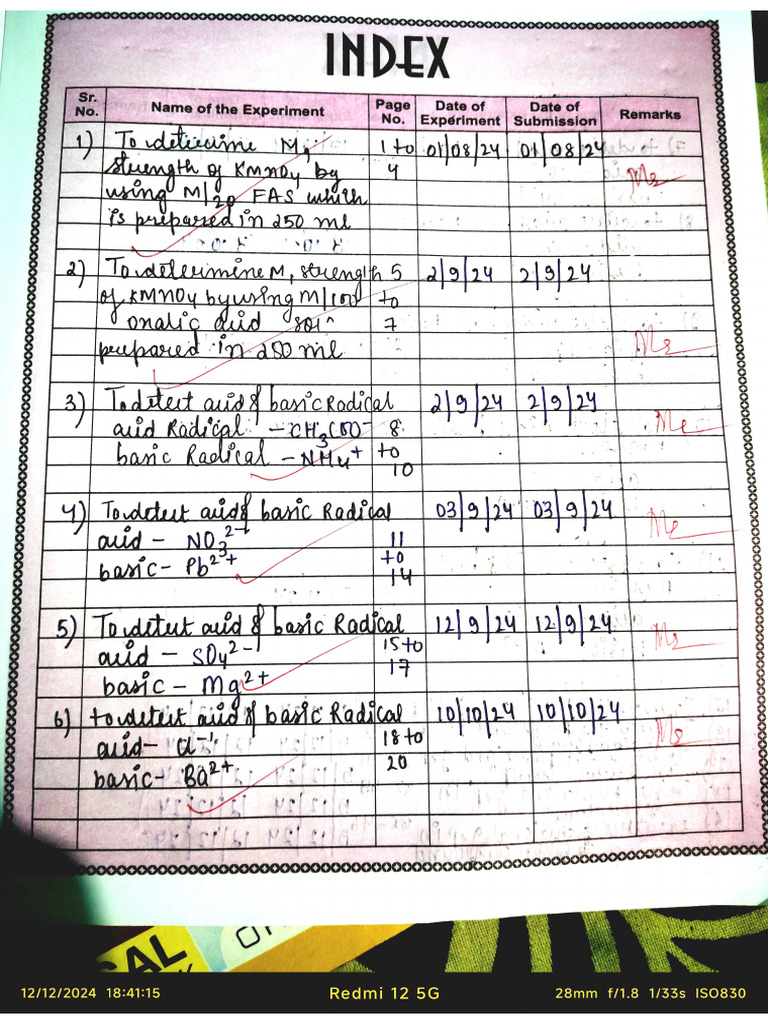 Pushkar.chem.Prac | PDF