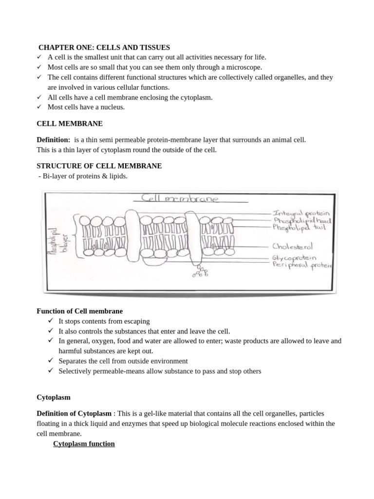 Form Two Biology Mahdi | PDF | Carbohydrates | Photosynthesis