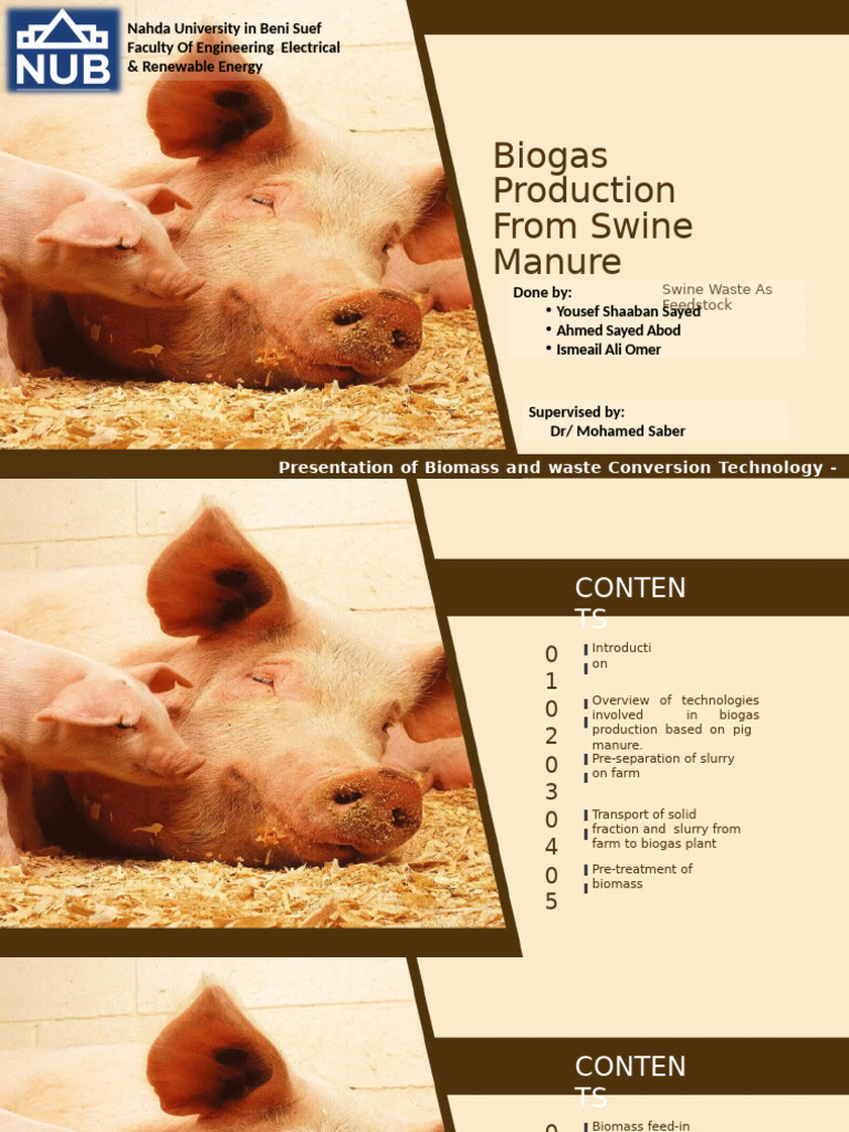 Biogas Production From Swine (Pigs) Manure | PDF | Anaerobic Digestion ...