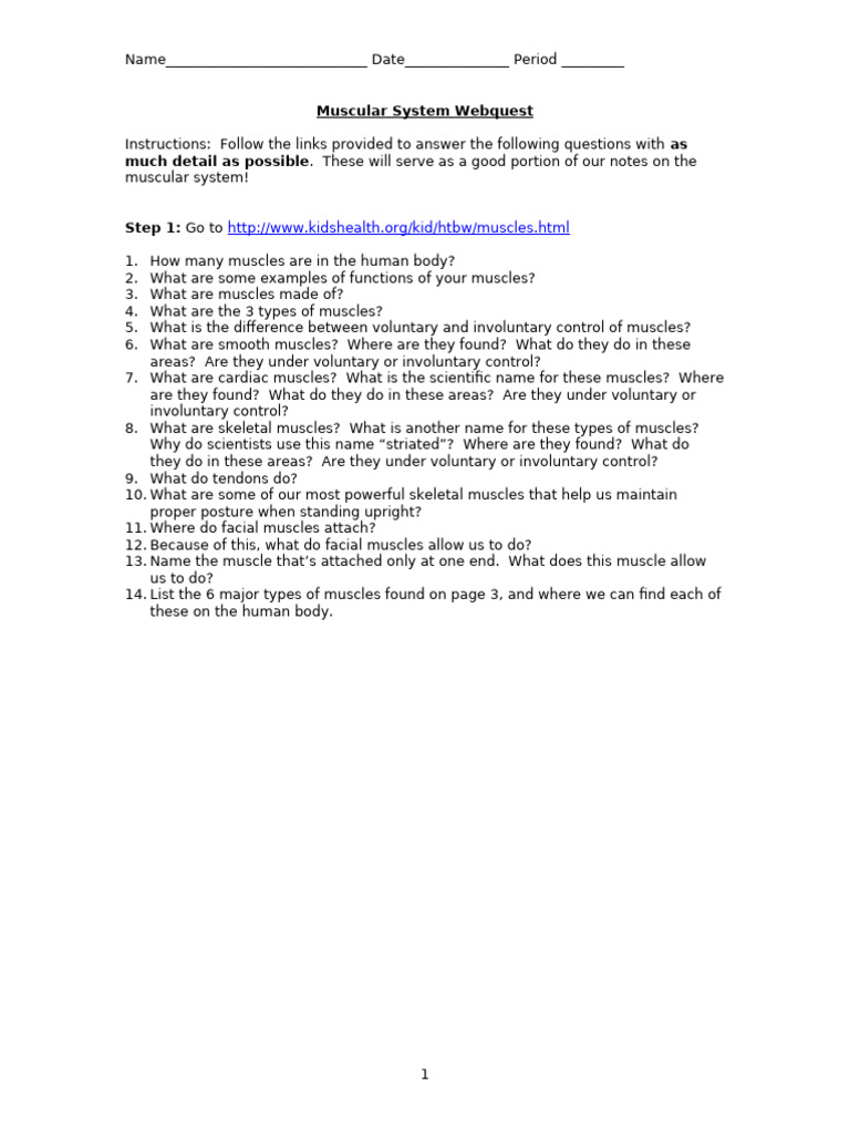 Muscular System Webquest Guide | PDF | Anatomy | Human Anatomy