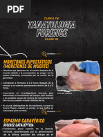 Fase Cromatica, Enfisematosa, Licuefactiva, Esqueletización y ...