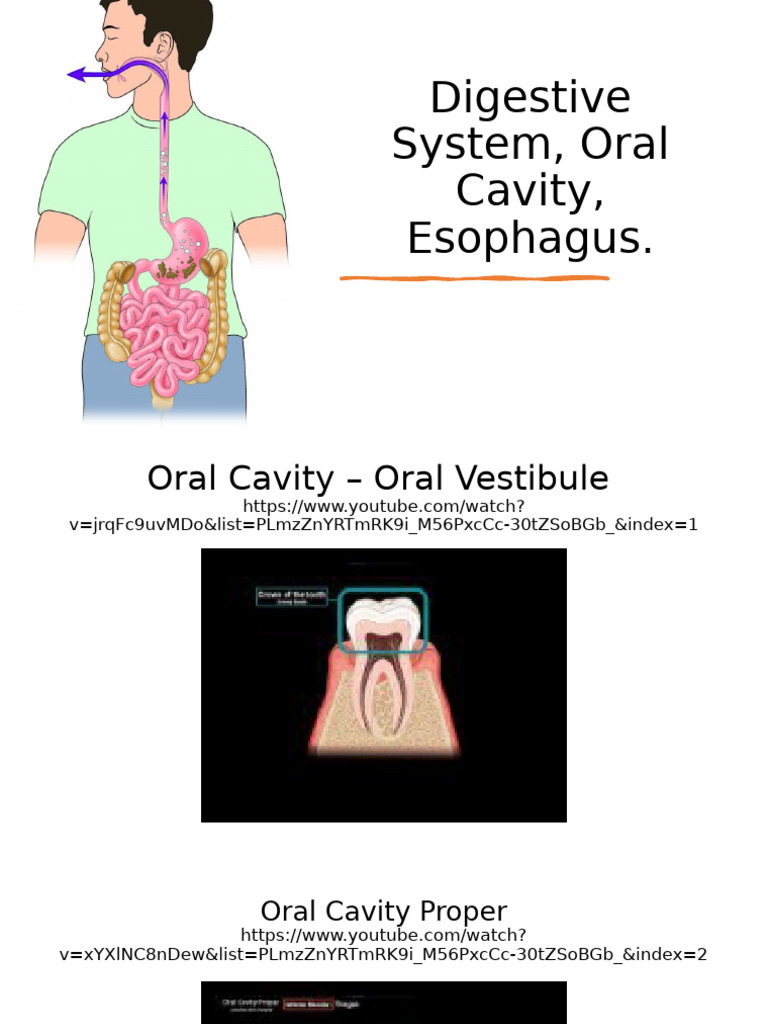 Introduction of Digestive (Gastrointestinal) System, Oral Cavity ...