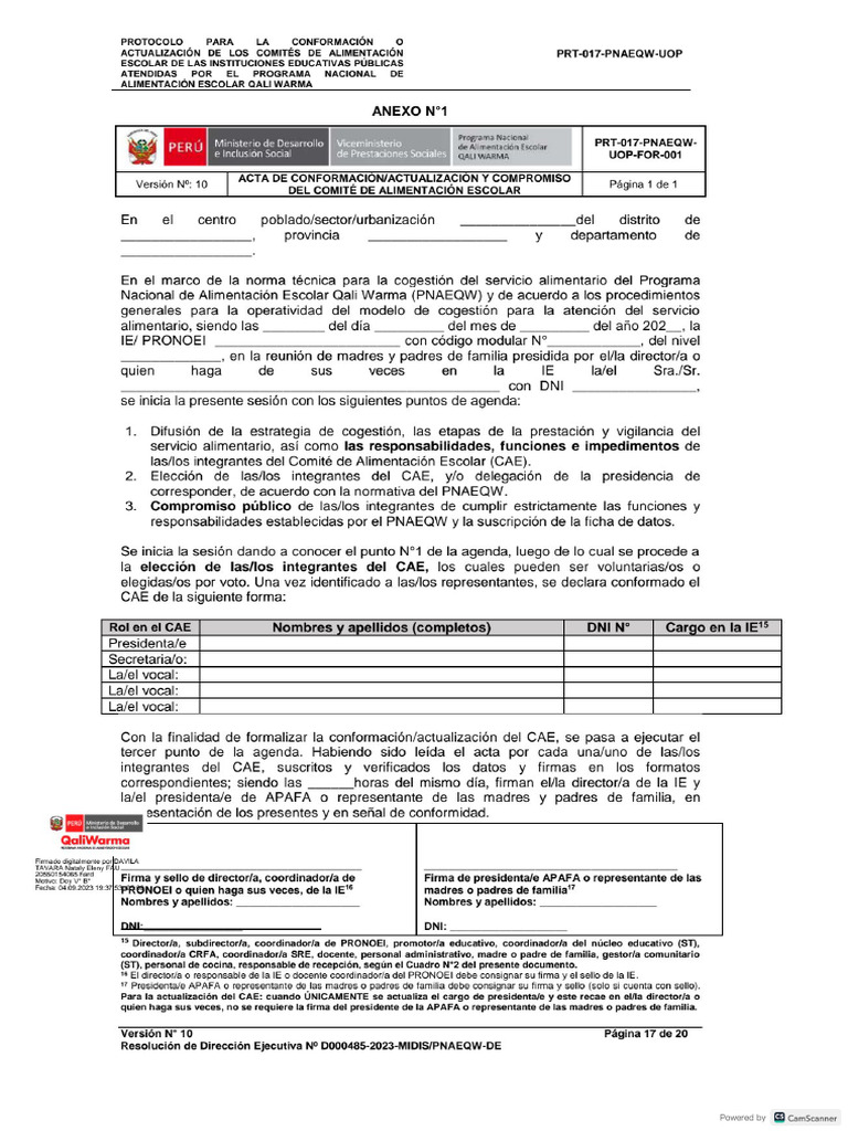 Formato Conformación de Cae 2024 | PDF