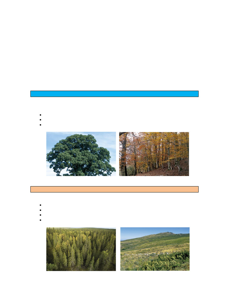 La Vegetación en España | PDF