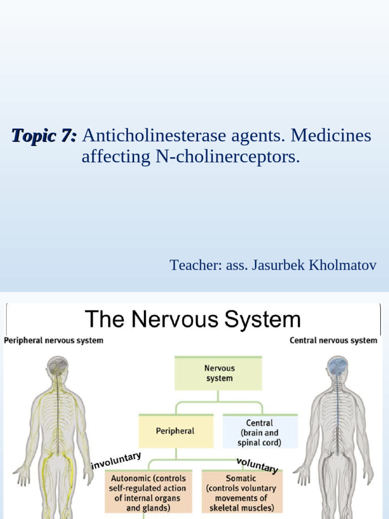 7 PR CL Anticholinesterase Agents Medicines Affecting N Cholinerceptors ...
