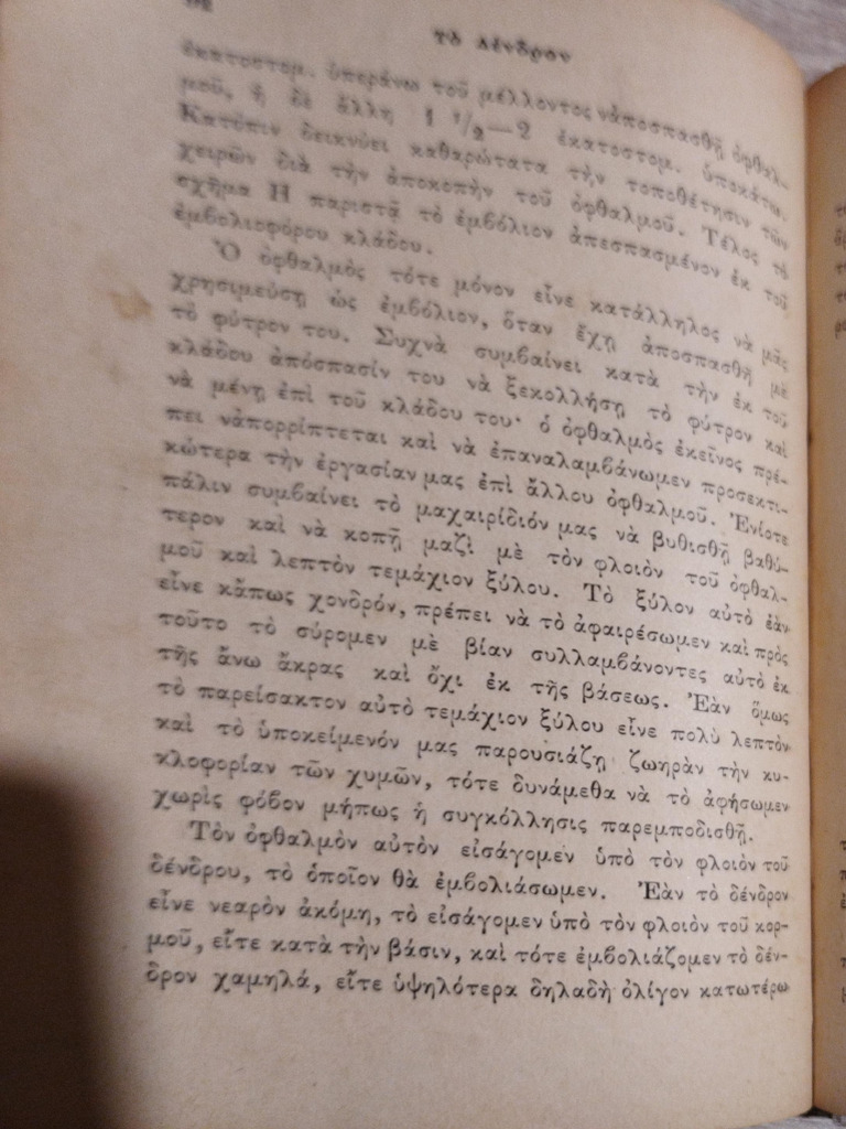 Το δένδρον Δ μέρος | PDF