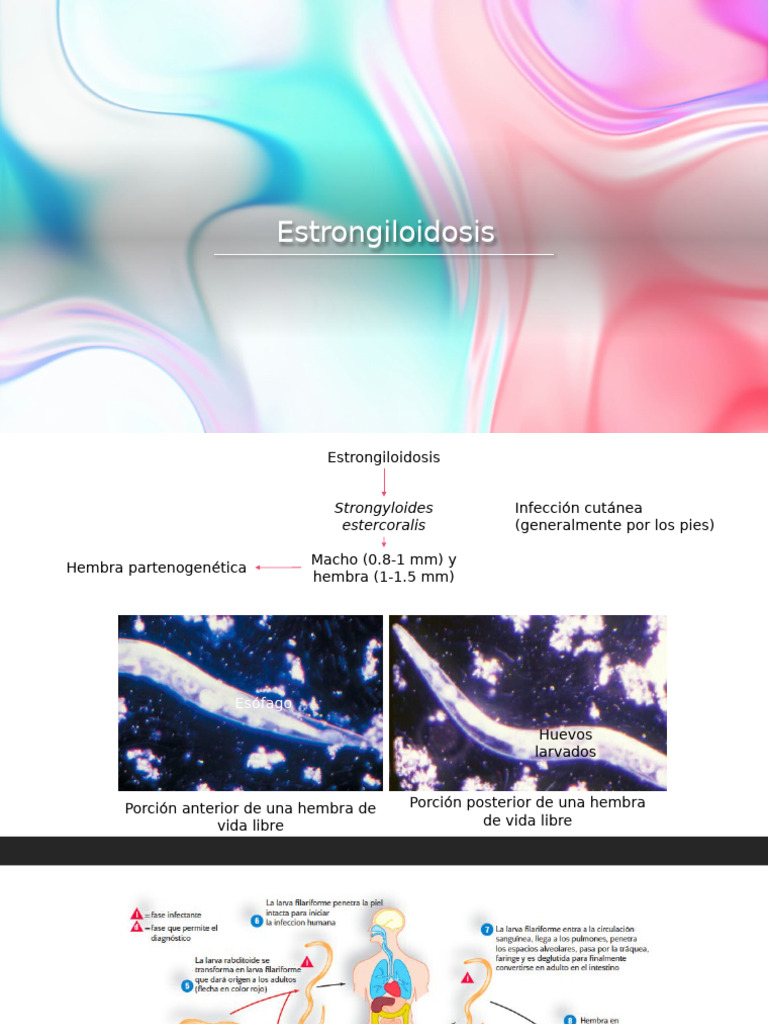 5.1.6 Estrongiloidosis | PDF | Diarrea | Tos