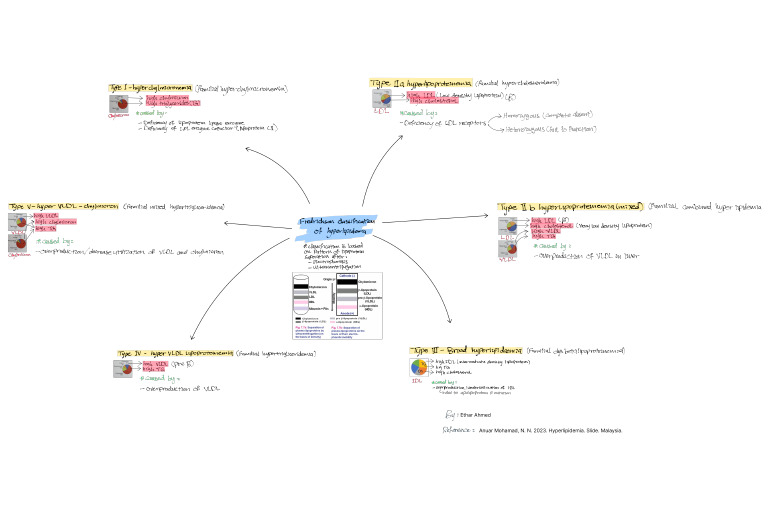 Hyperlipidemia Classification | PDF