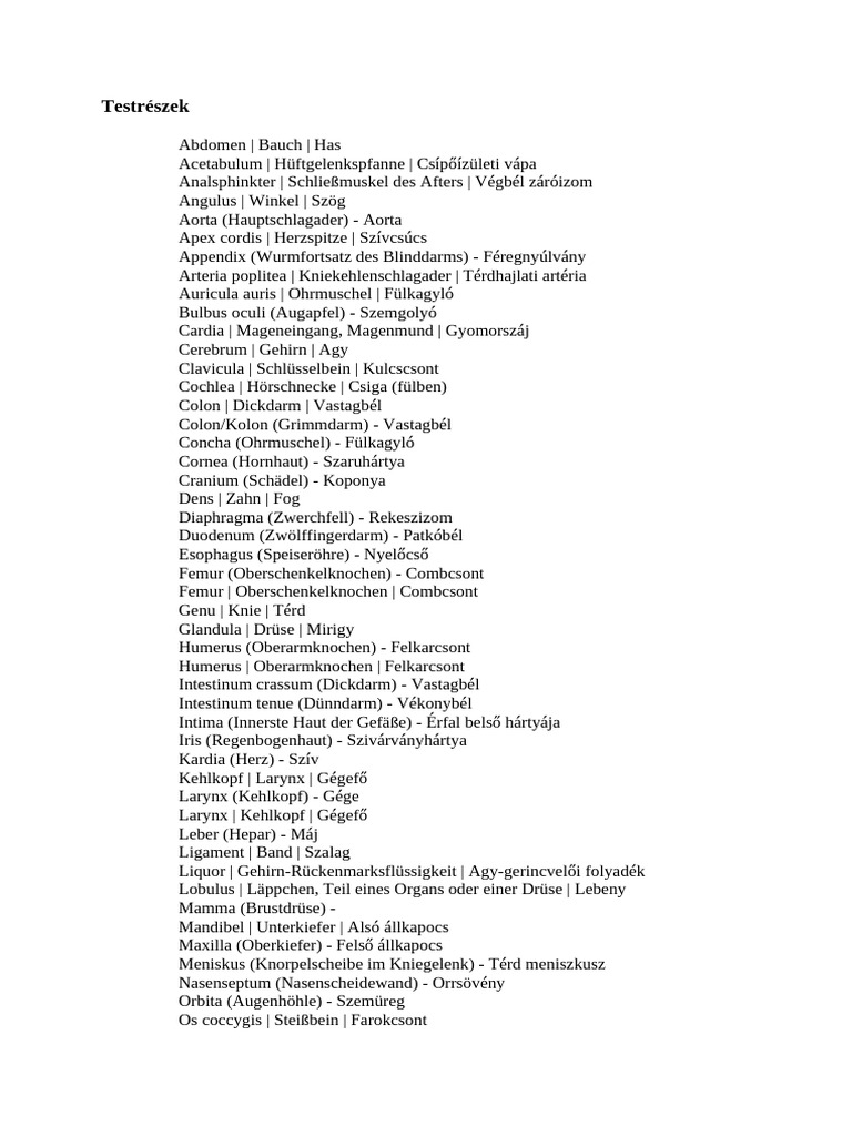 Testrészek Németül | PDF
