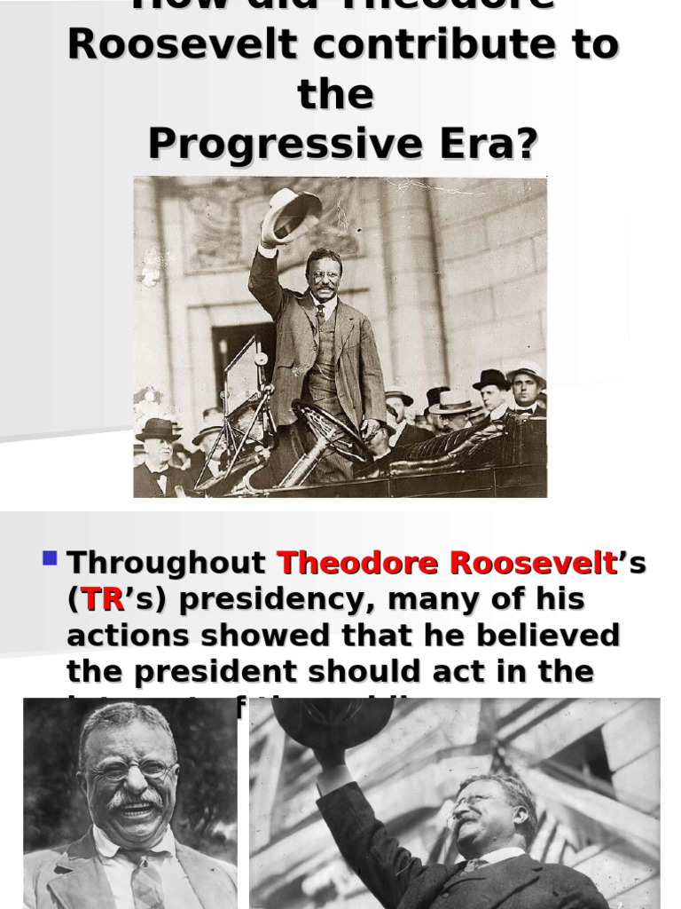 President Theodore Roosevelt | PDF