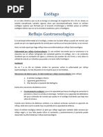 Digestión: Bolo, Quimo y Quilo | PDF | Digestión | Tracto gastrointestinal