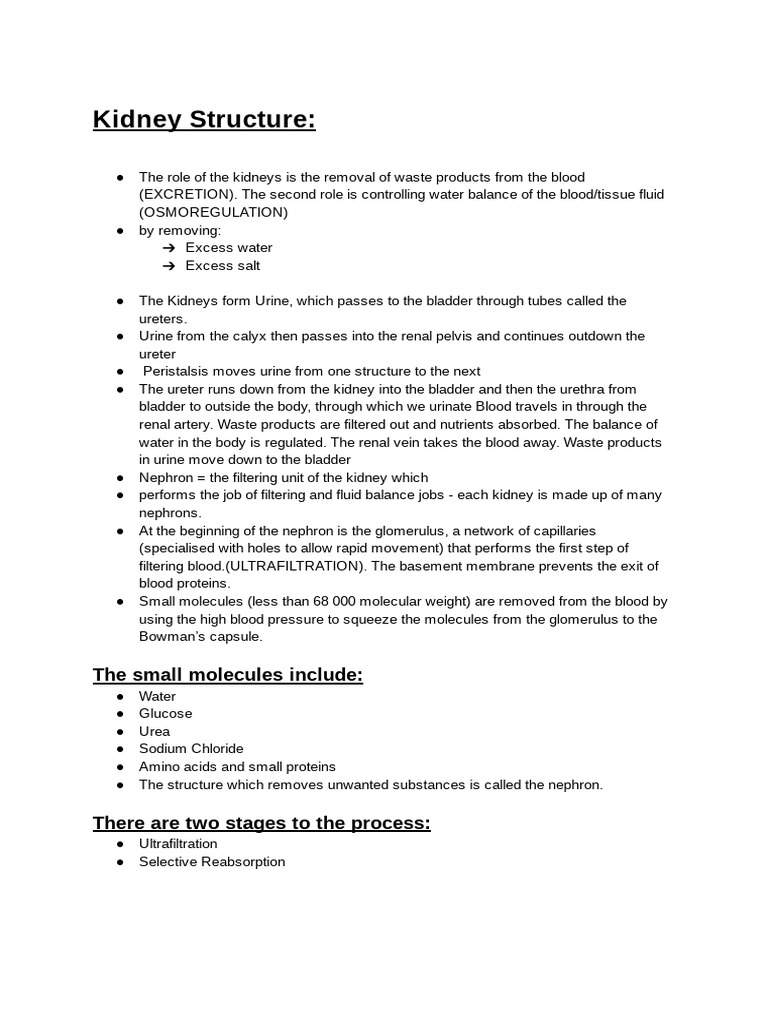 kidney | PDF | Kidney | Urinary System