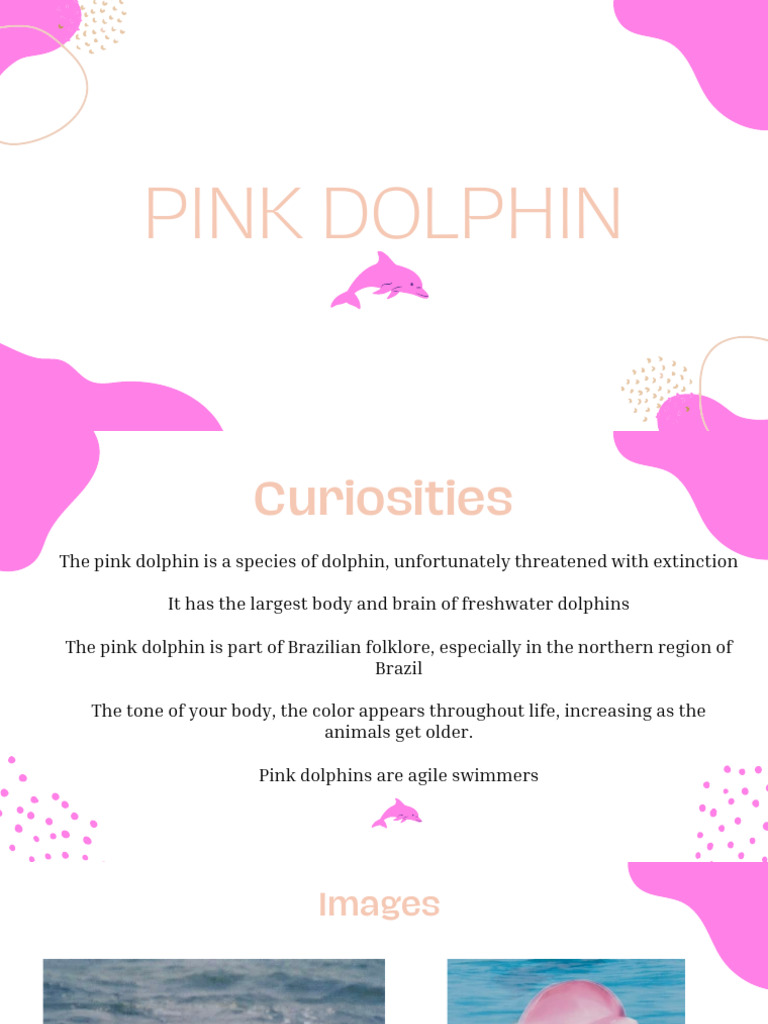 Facts About Pink Dolphins for Kids | PDF