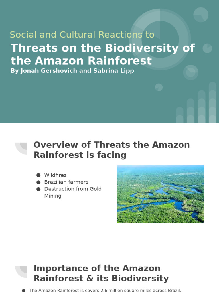 Social and Cultural Reactions to the Threats of the Biodiversity of the Amazon Rainforest | PDF ...