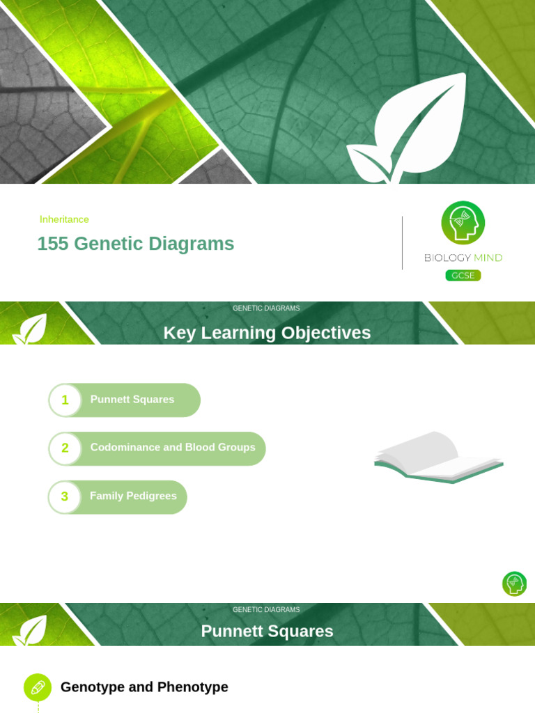 155 Genetic Diagrams-LJ | PDF | Genotype | Dominance (Genetics)