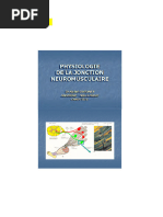 Les Curares | PDF | Acétylcholine | Synapse