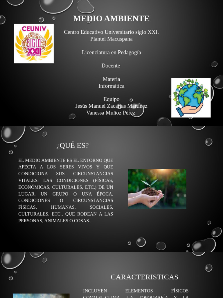 Medio Ambiente Practica | PDF