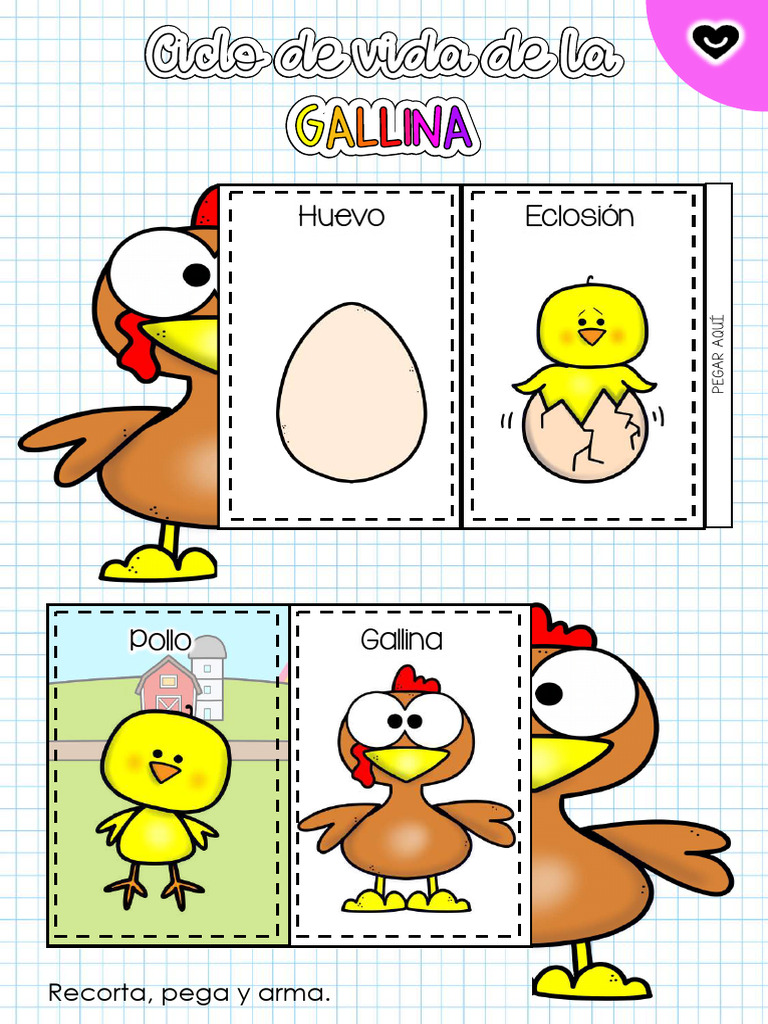 Recursos UD15 S2 - Ciclo de Vida de La Gallina | PDF