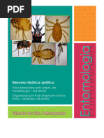 Sintomas da Tungíase e Cuidados | PDF | Doenças e distúrbios | Remédio