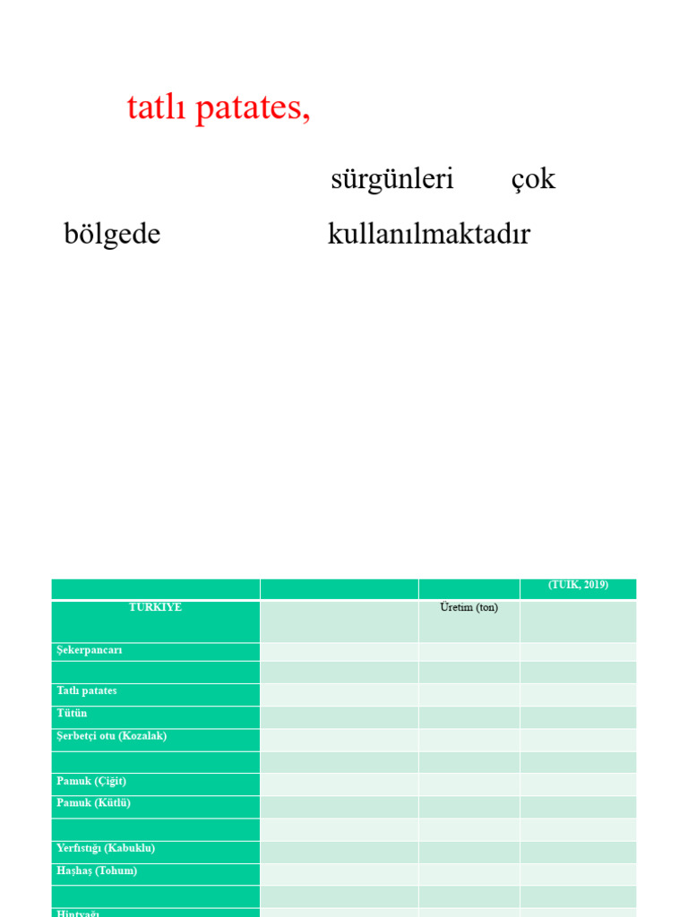 Tatlı Patates | PDF