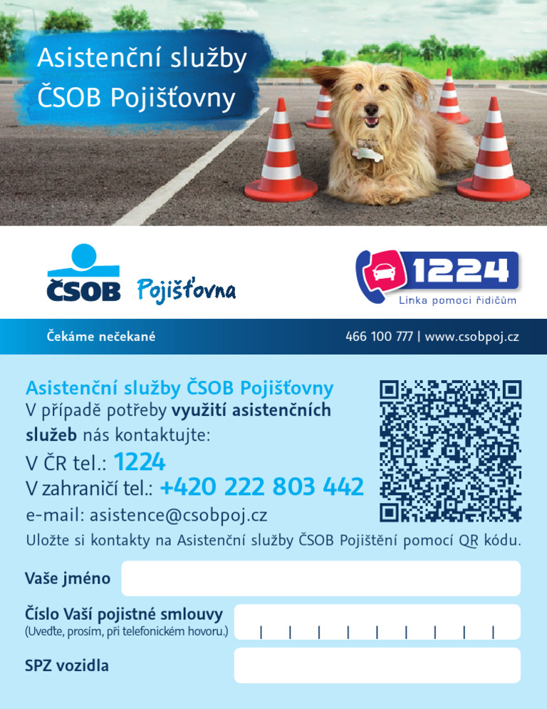 Karticka Asistence Asistence | PDF