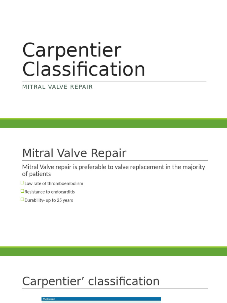Carpentier Classification | PDF