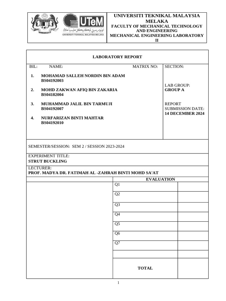 Strut Buckling Experiment Report | PDF | Buckling | Mechanical Engineering
