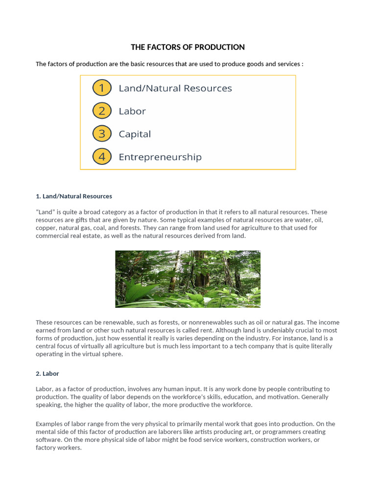 The Factors of Production | PDF | Factors Of Production | Labour Economics