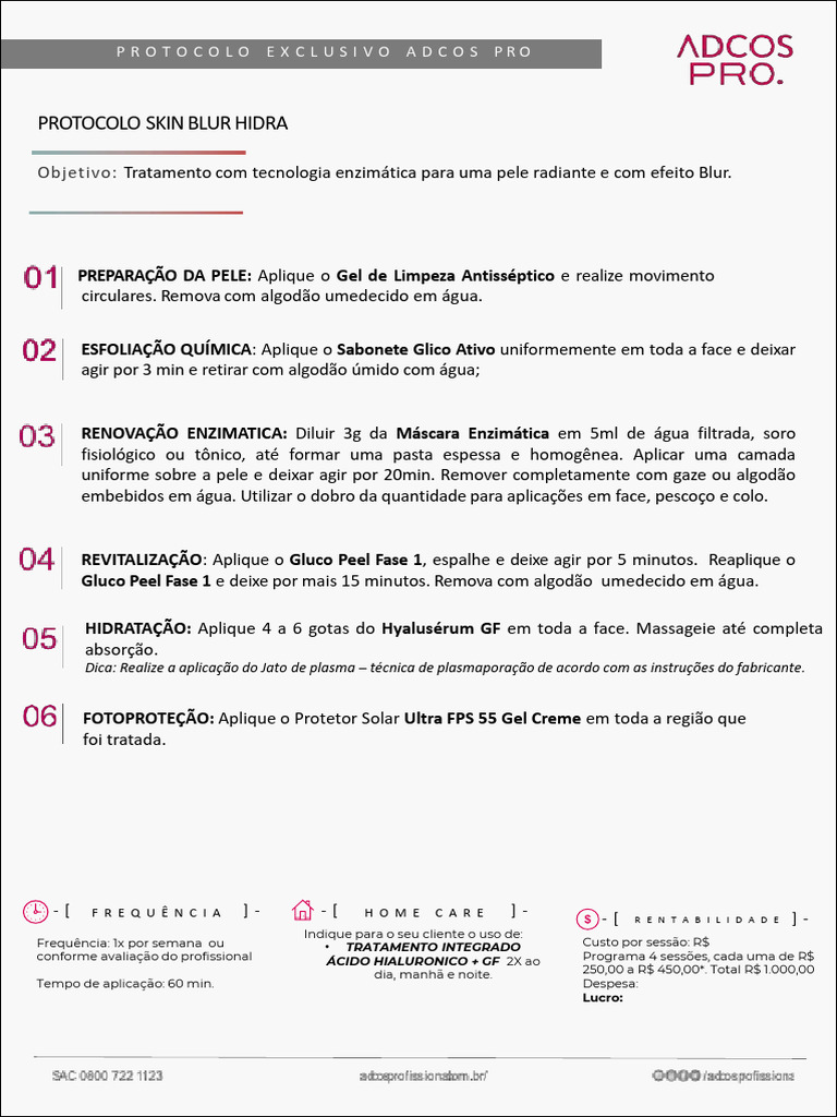 Protocolo Skin Blur Hidra | PDF