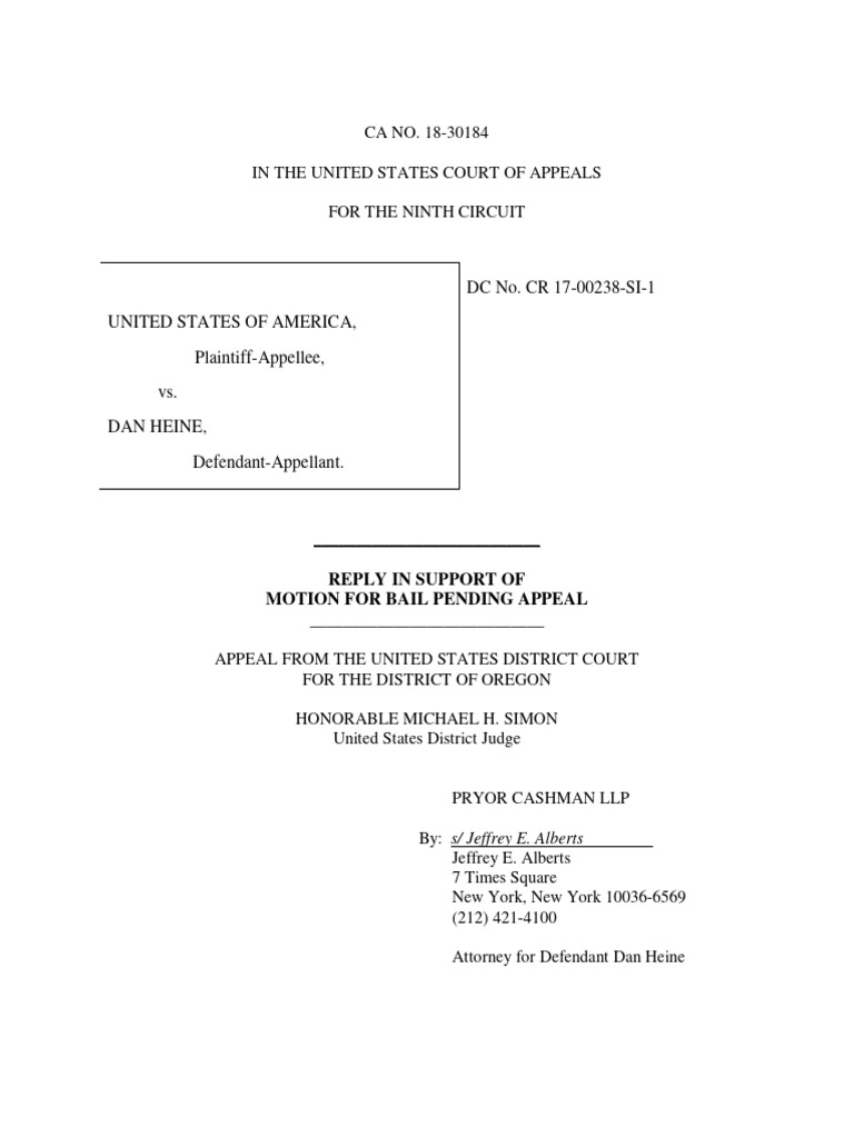 Bail Motion Appeal - Dan Heine Case | PDF | Prosecutor | Fraud