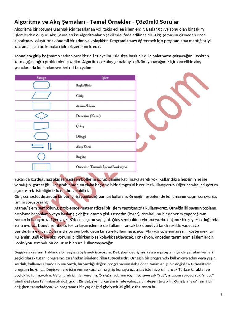 Algoritmaya Giris Temel Ornekler 1 | PDF