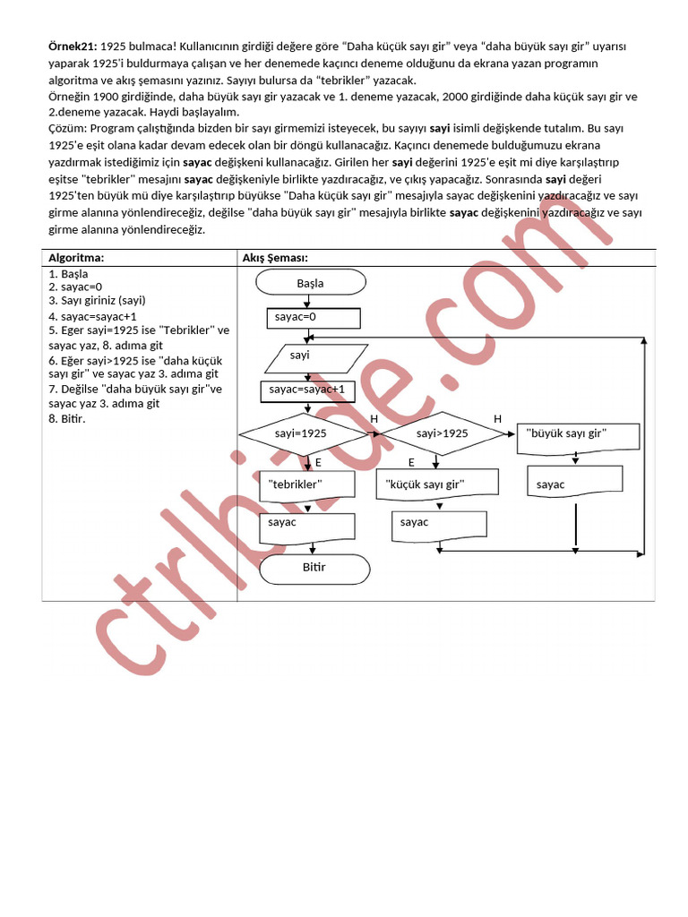 Algoritmaya Giris Temel Ornekler 6 | PDF