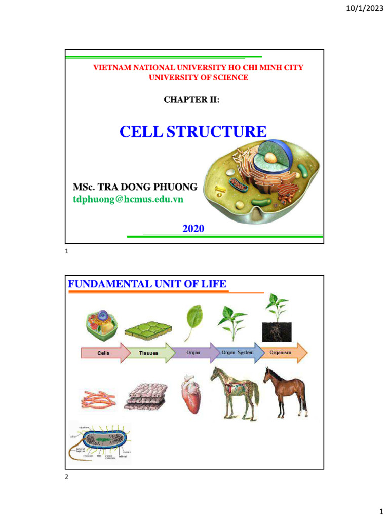 02_CellStructure | PDF