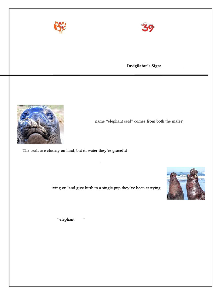 5th Std English Sample Question Paper | PDF | Pinniped | Grammar
