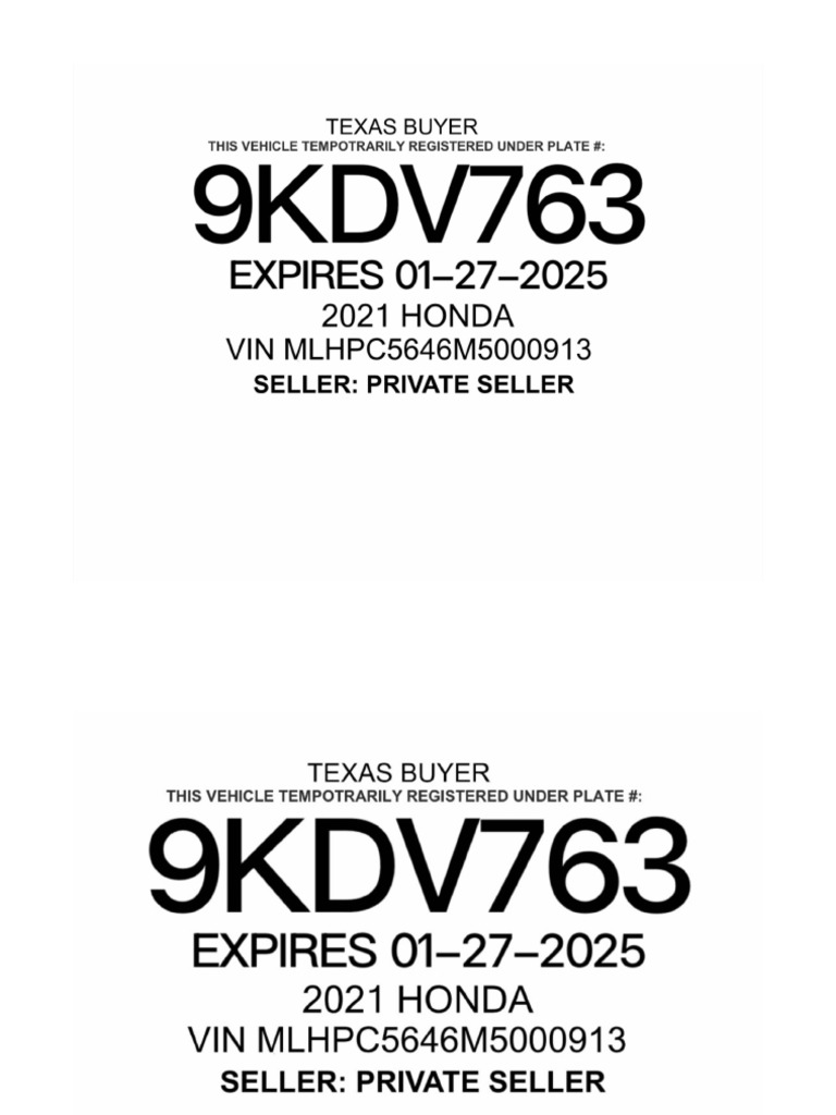 DMV TEMP. LICENSE PLATE | PDF